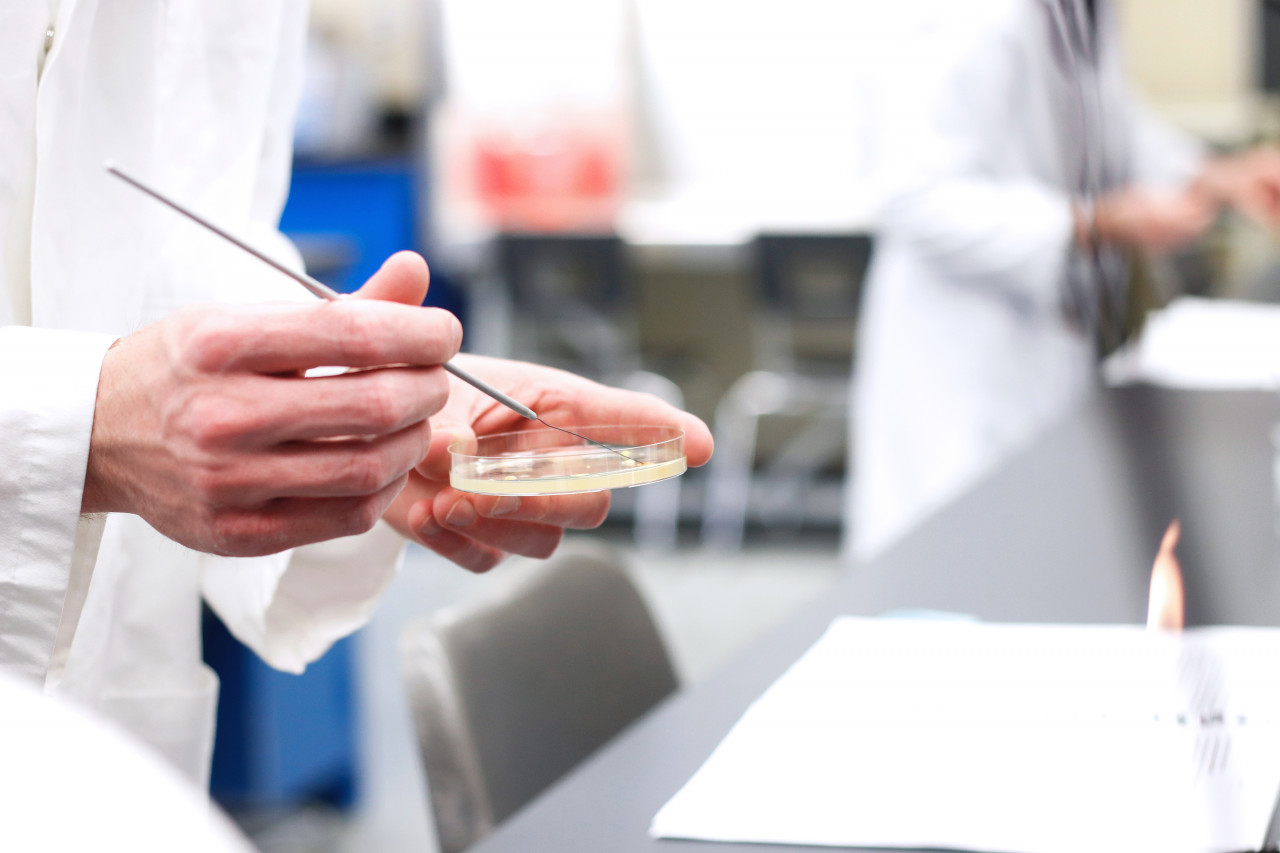 Sciences de la nature | Cégep de Jonquière