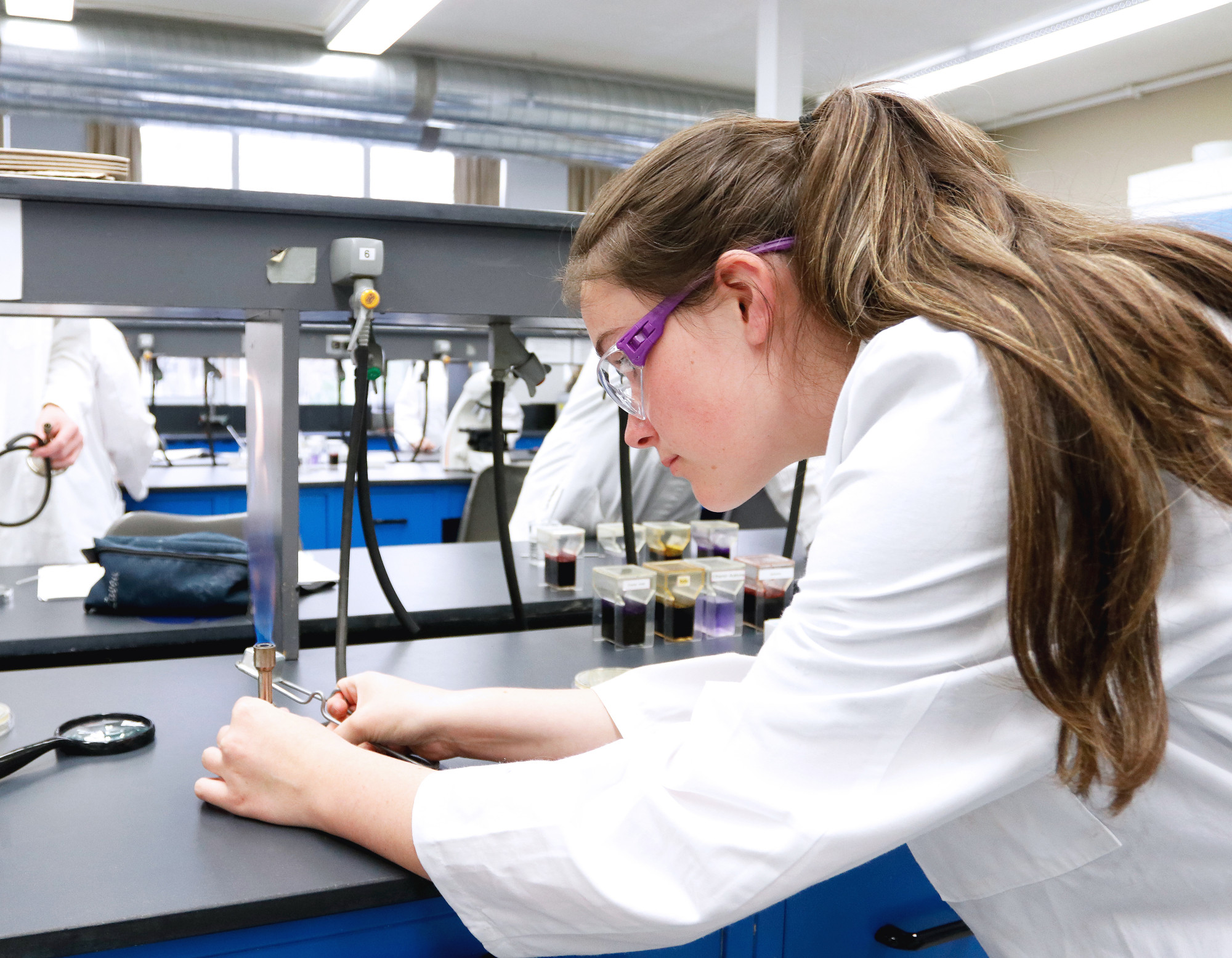 Sciences de la nature | Cégep de Jonquière