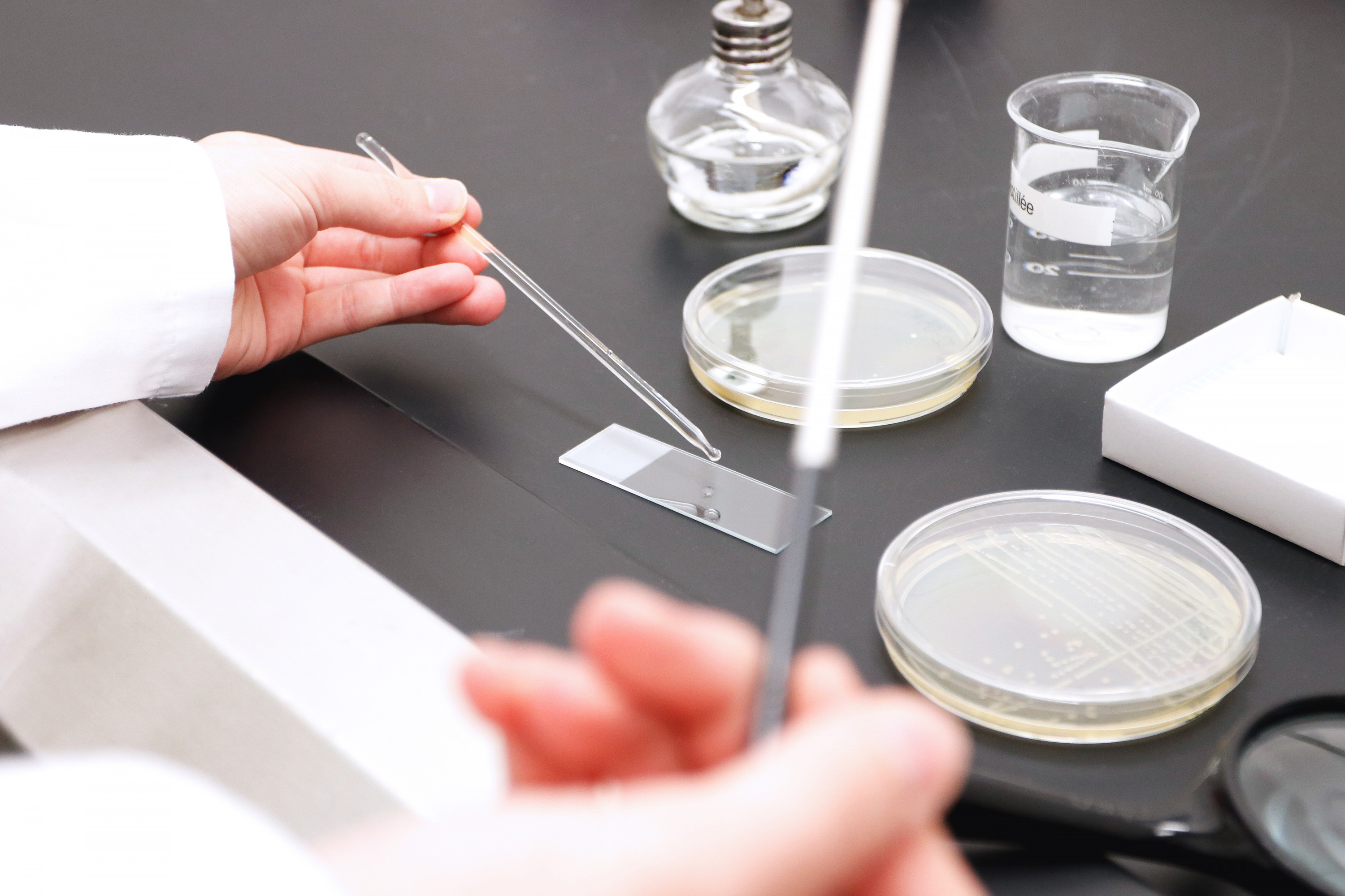 Sciences de la nature | Cégep de Jonquière